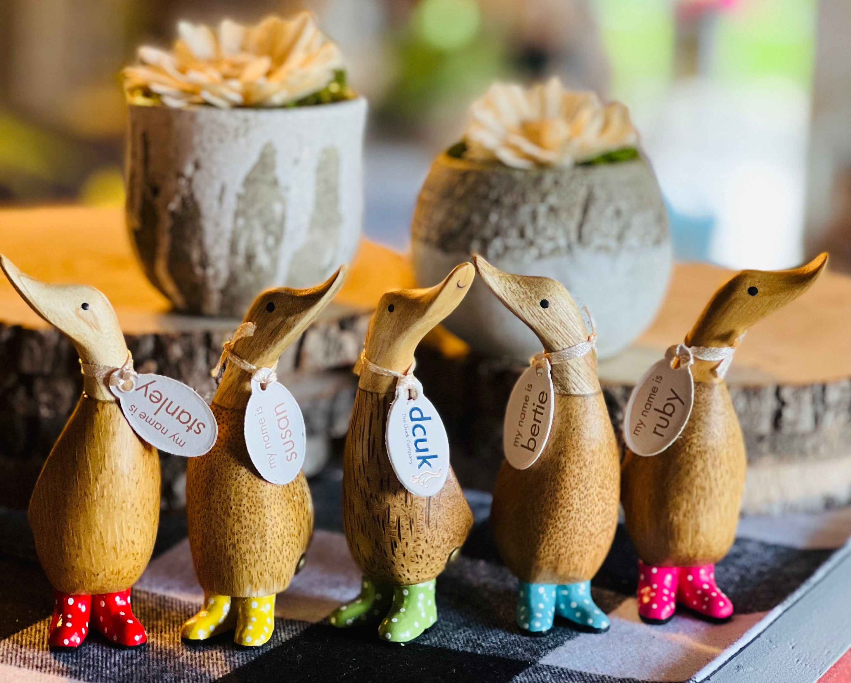 Dinky Ducks By dcuk ~ Spotty Welly Boots | Barn Out Back LLC